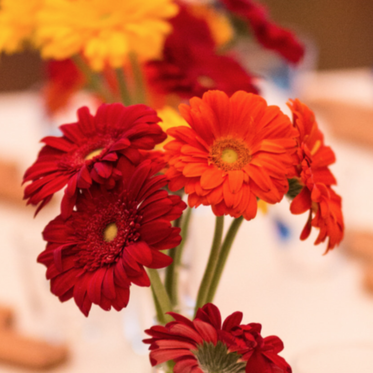 NY Kosher Catering | 20 Years of Culinary Excellence | JM Food Design